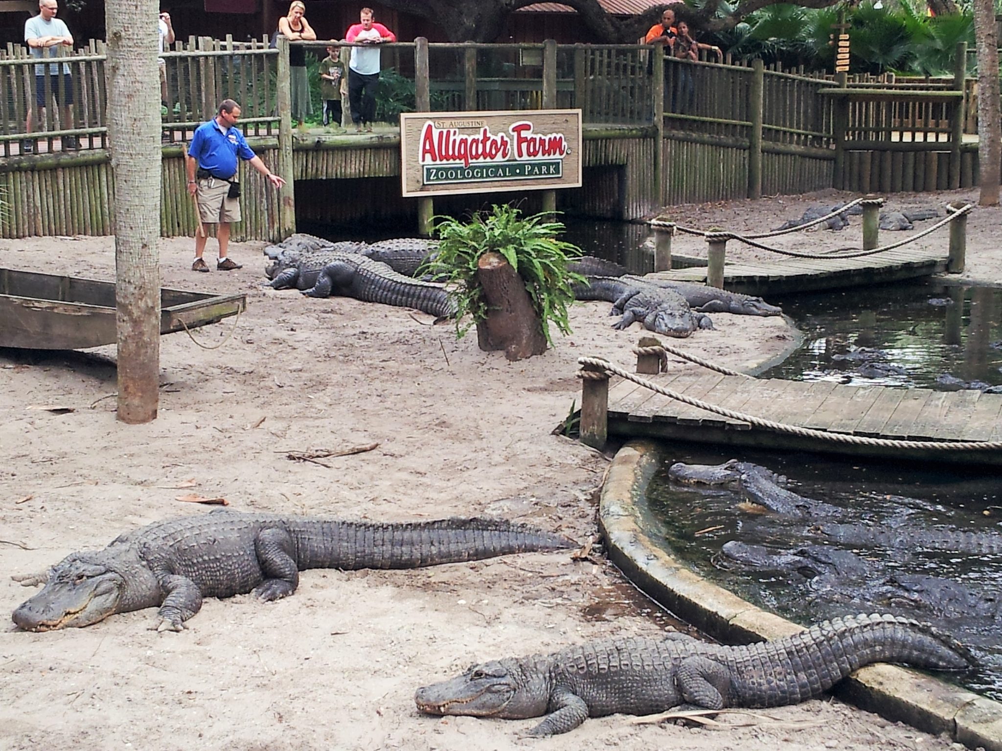 St. Augustine Alligator Farm Zoological Park
